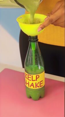 Spongebob's Kelp Shake - Keesha's Kitchen