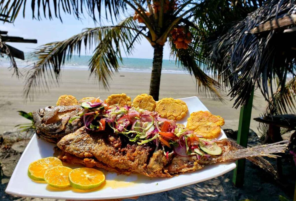 Best Dominican Foods - Top 14 Dishes you have to try in the DR!
