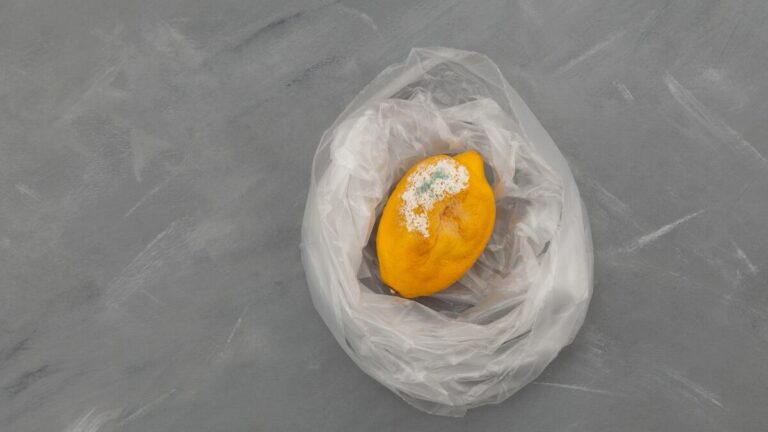How To Tell If A Lemon Is Bad - 5 Common Signs Of Spoilage