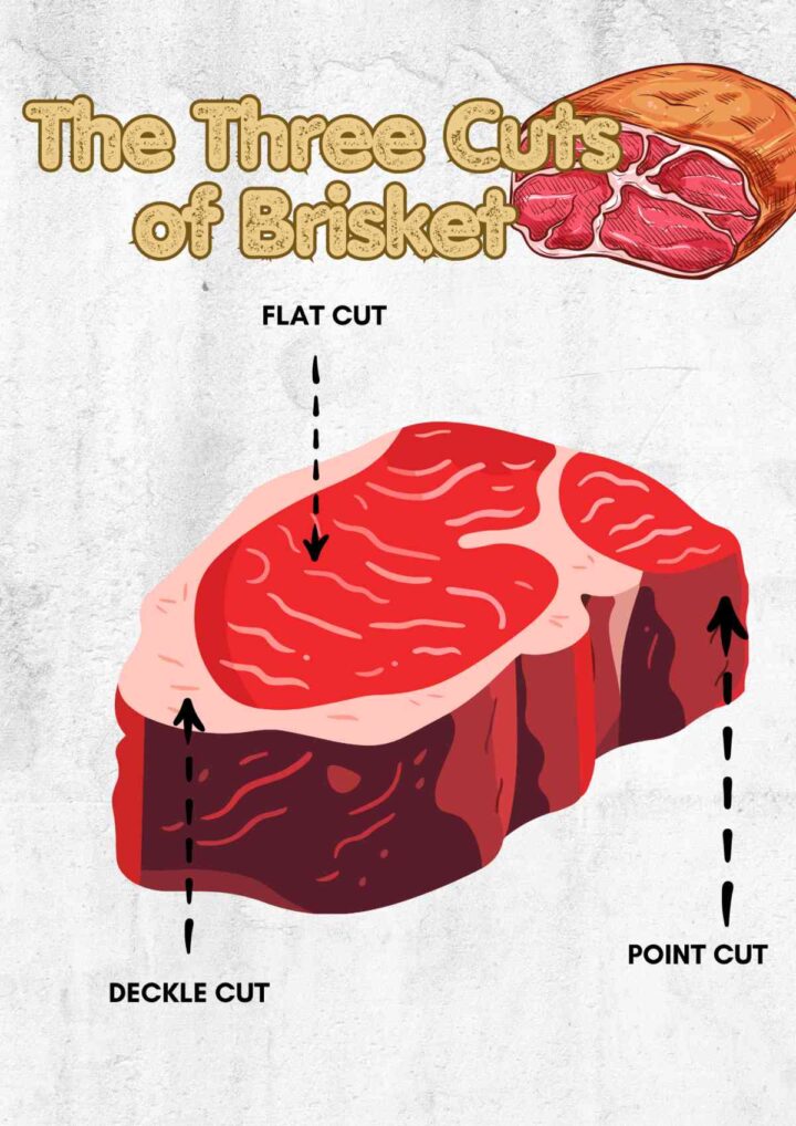 What Part Of The Cow Is Brisket? Quick & Easy Guide