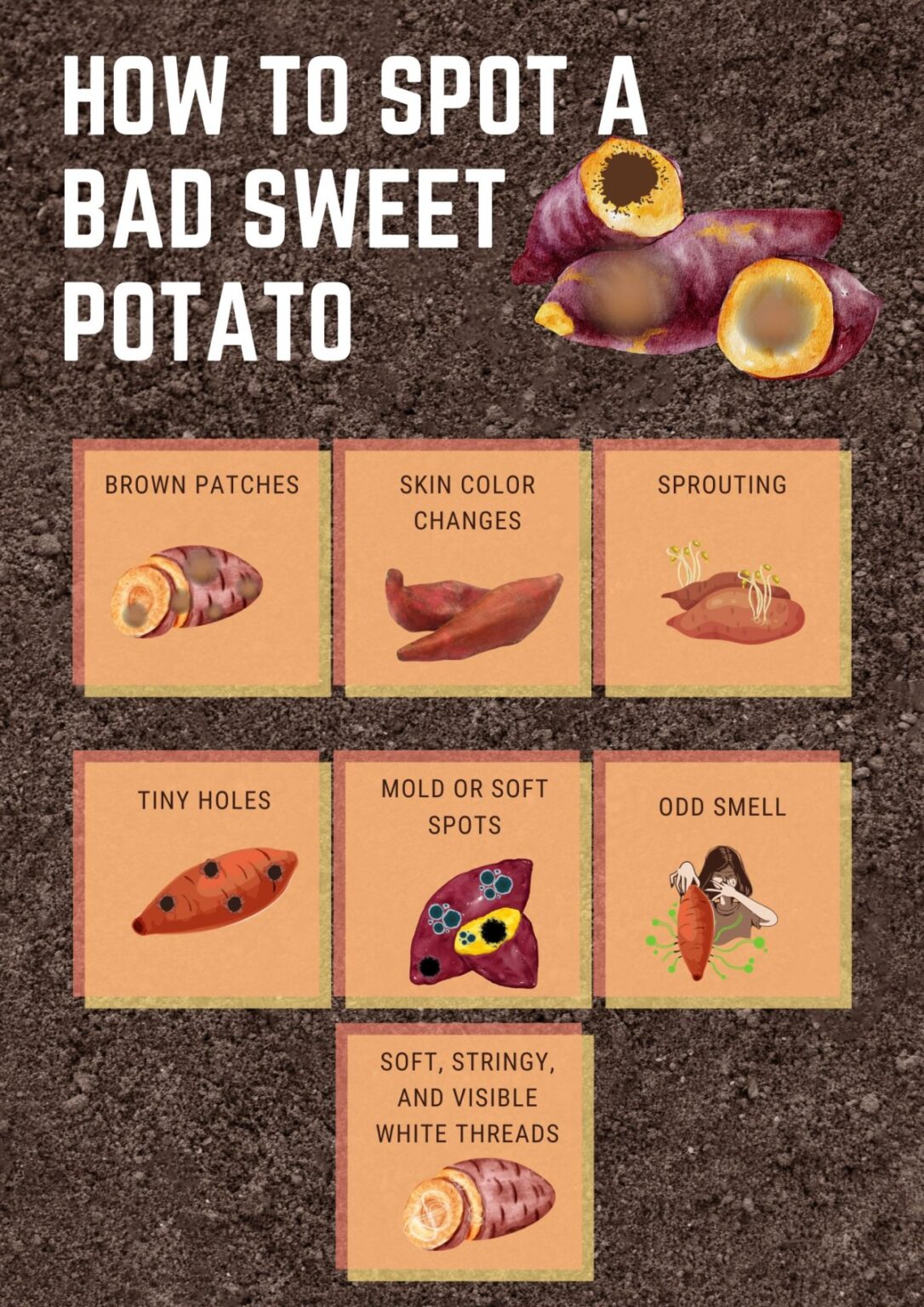 7 Signs Your Sweet Potato Has Gone Bad